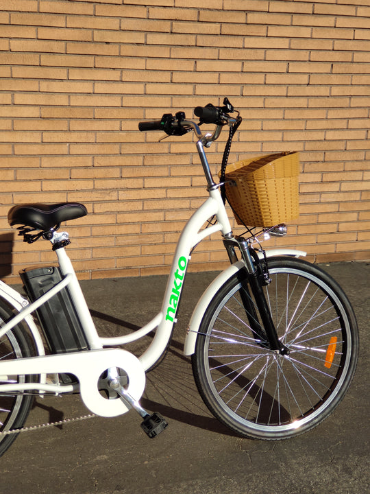 Nakto camel city women's electric bike store